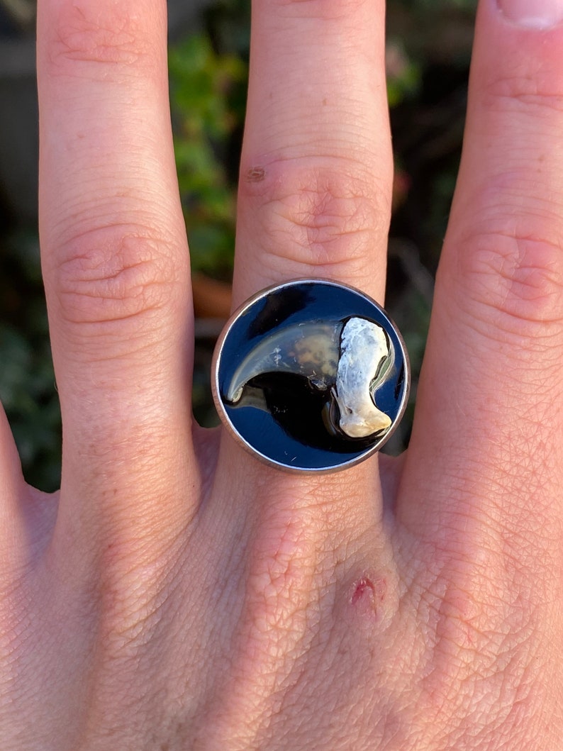 Bobcat Claw Adjustable Stainless Steel Ring, Goth Jewelry, Cottagecore ...