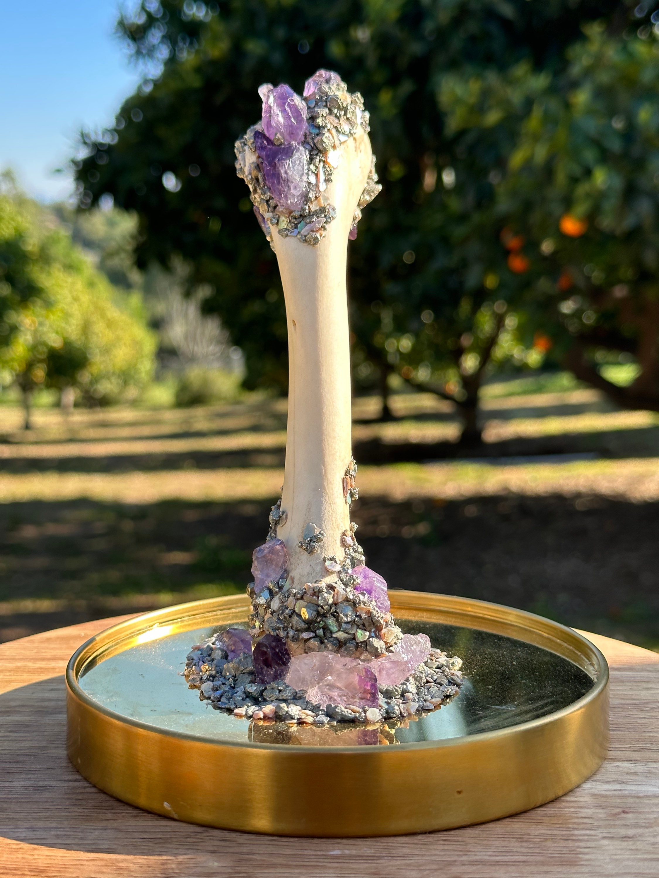 Amethyst, Abalone, and Pyrite Crystallized Deer Femur Leg Bone Jewelry ...