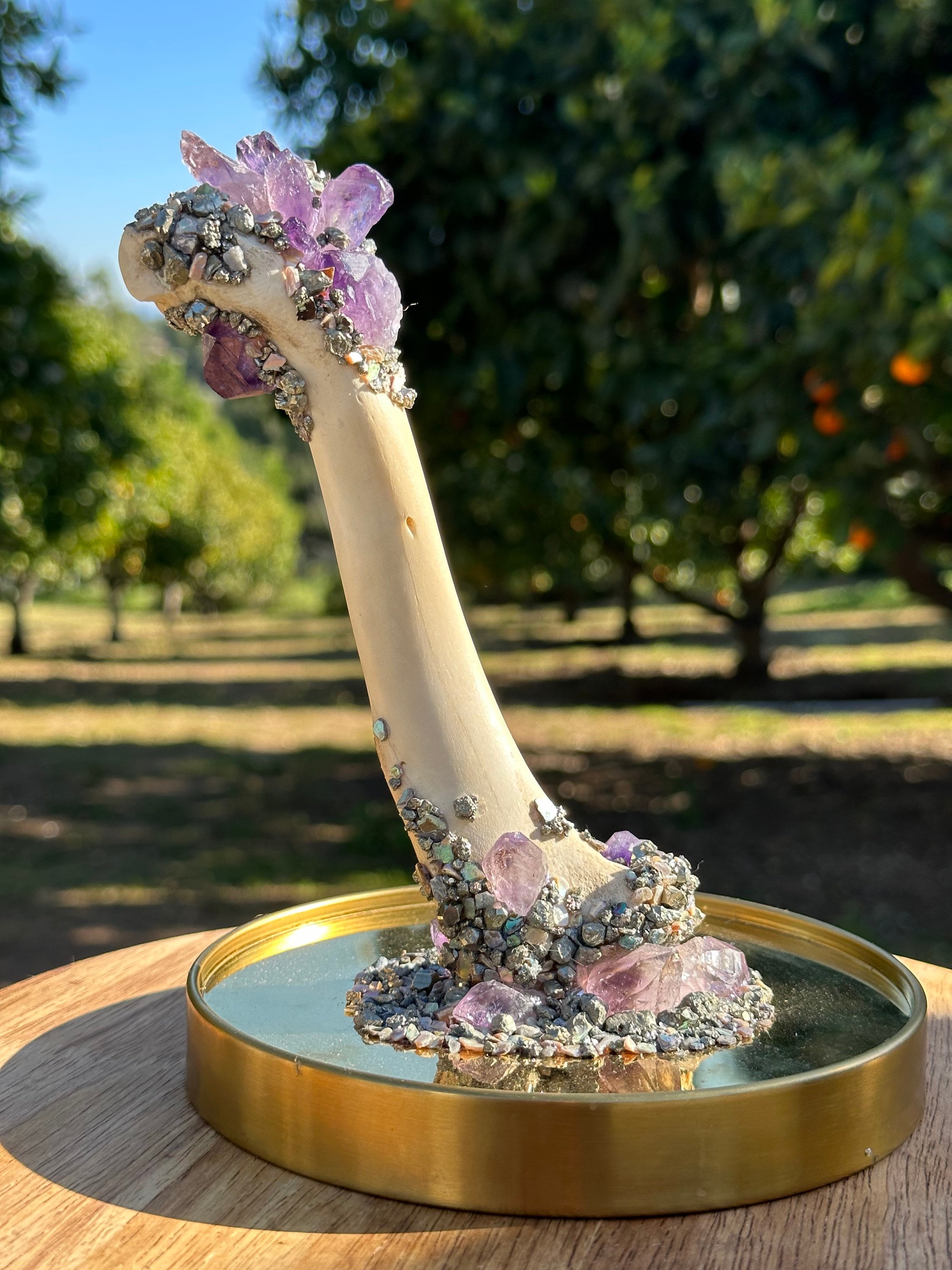 Amethyst, Abalone, and Pyrite Crystallized Deer Femur Leg Bone Jewelry ...