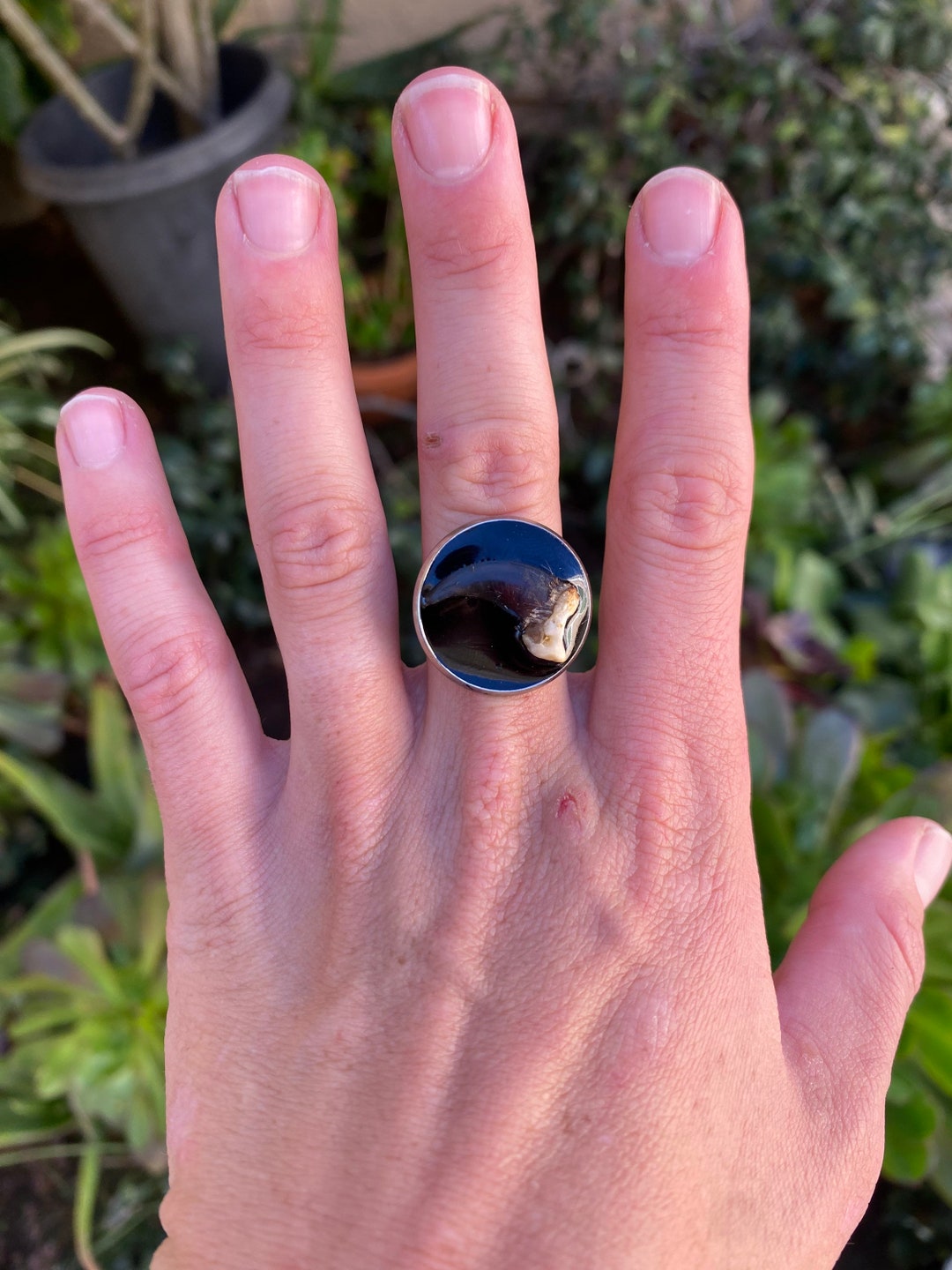Coyote Claw Adjustable Stainless Steel Ring, Goth Jewelry, Cottagecore ...