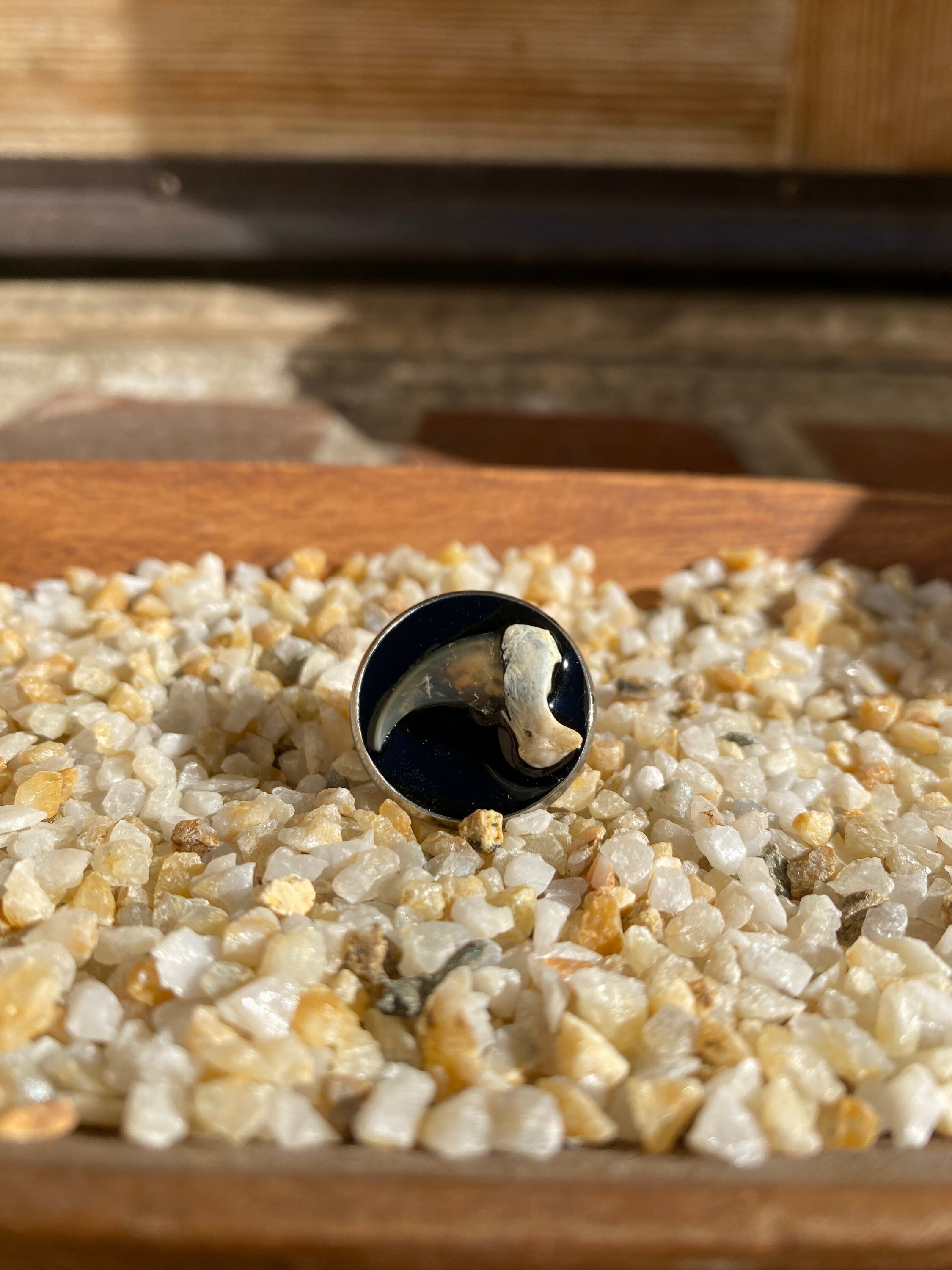 Bobcat Claw Adjustable Stainless Steel Ring, Goth Jewelry, Cottagecore ...