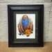 Cholo Chewie - Chewbacca Star Wars Print - Wall Art - Art Geek - Gifts ...