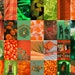 Orange Wall Collage Kit Green Collage Kit Orange Aesthetic - Etsy