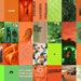 Orange Wall Collage Kit Green Collage Kit Orange Aesthetic - Etsy