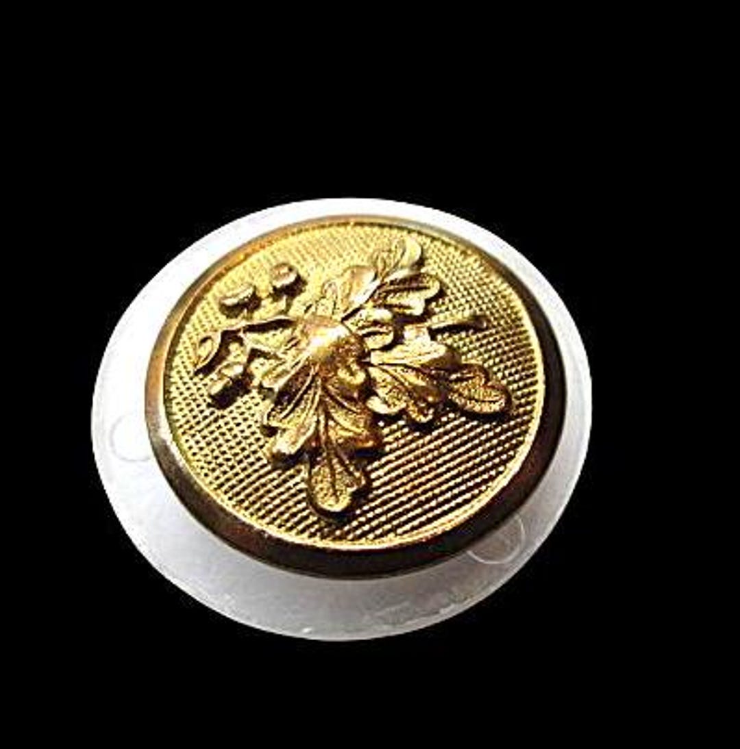Golden Age Button Oak Leaves and Acorns Benedict & Burnham Extra NBS ...