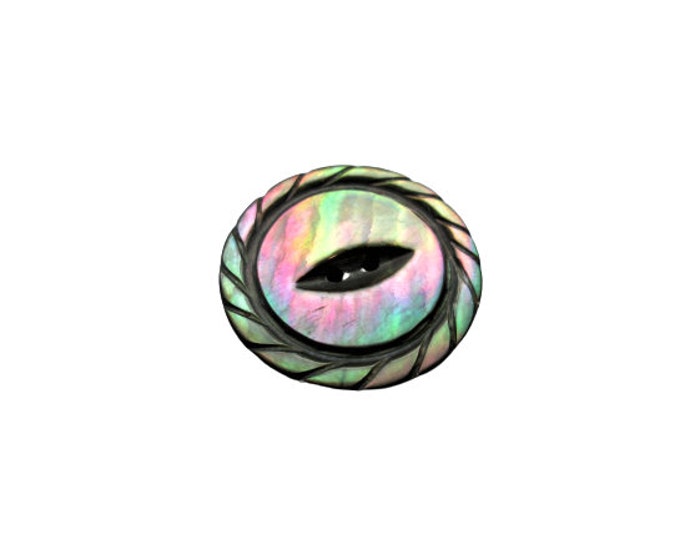 Sharp NBS Medium Button Abalone Shell/pearl Twisted Rope Border Two ...