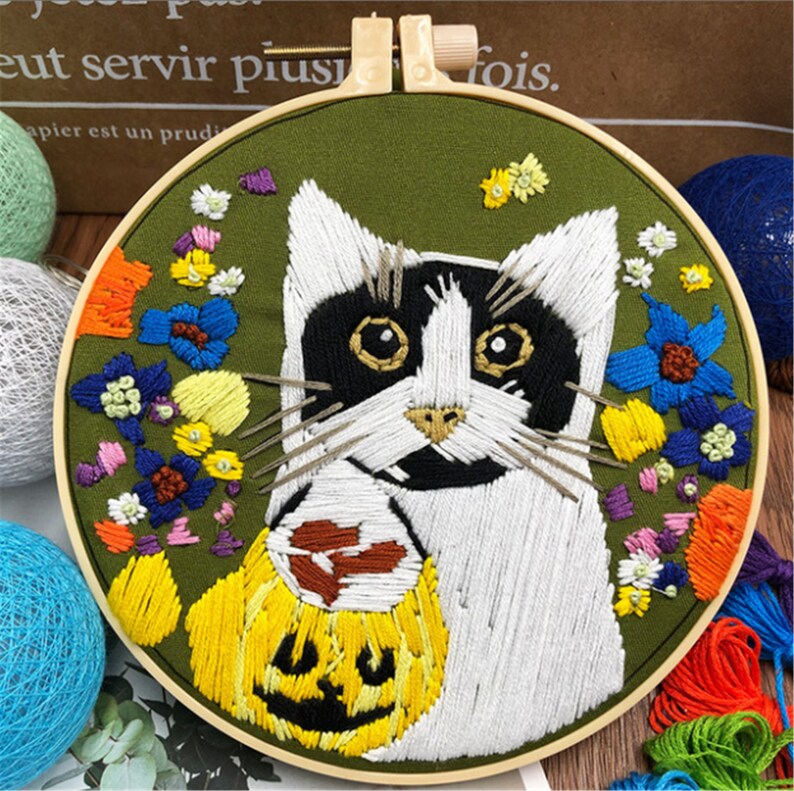 Lovely Cat Embroidery Kit Cartoon Painting Embroidery Kit for | Etsy