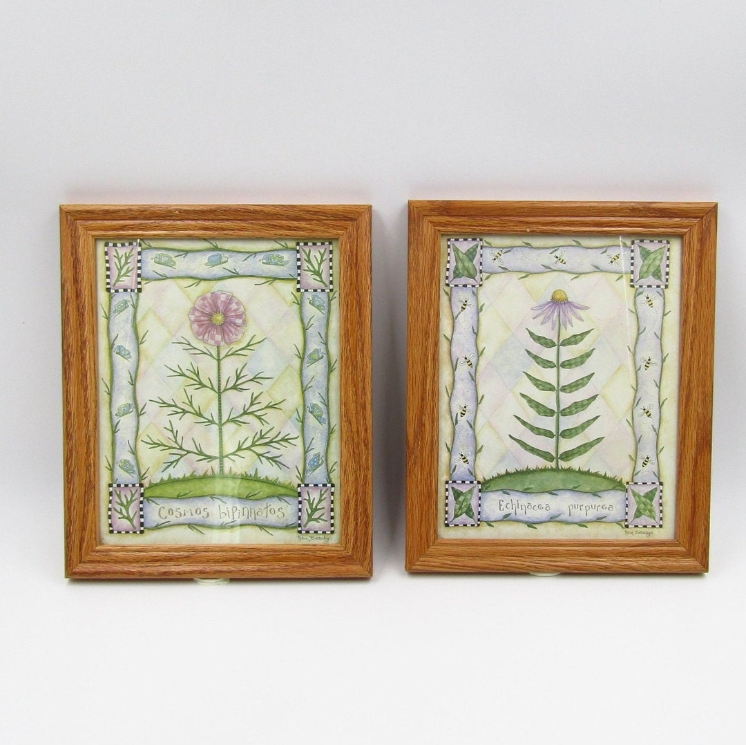 Pair Framed Floral Print Botanical 12x10 Glazed Scientific Name Flower ...