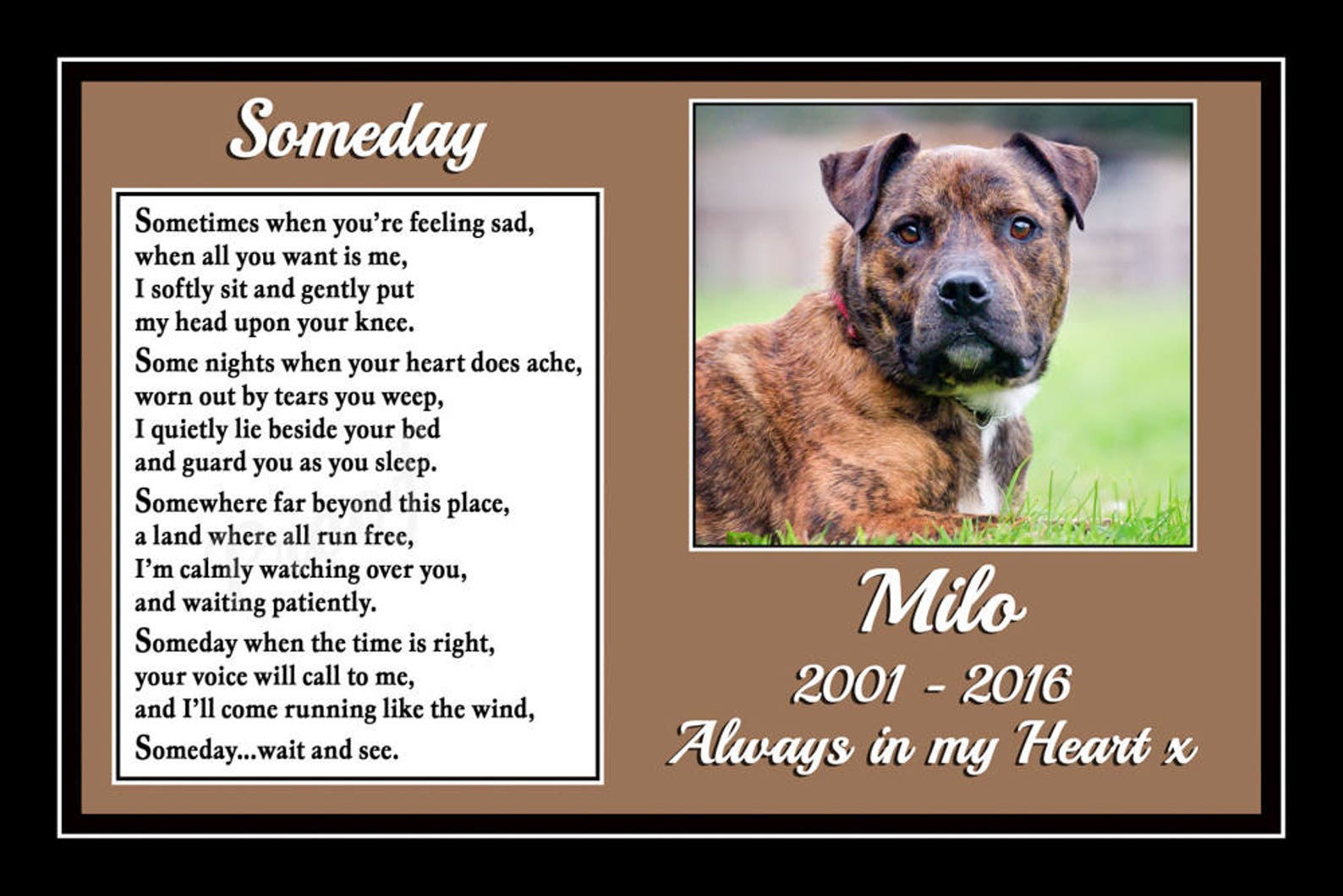 Personalised Pet Dog Photo Memorial Plaque Sympathy Gift - Etsy