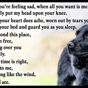 Cocker Sprocker Spaniel Dog Memorial Magnetic Sympathy Card - Etsy UK
