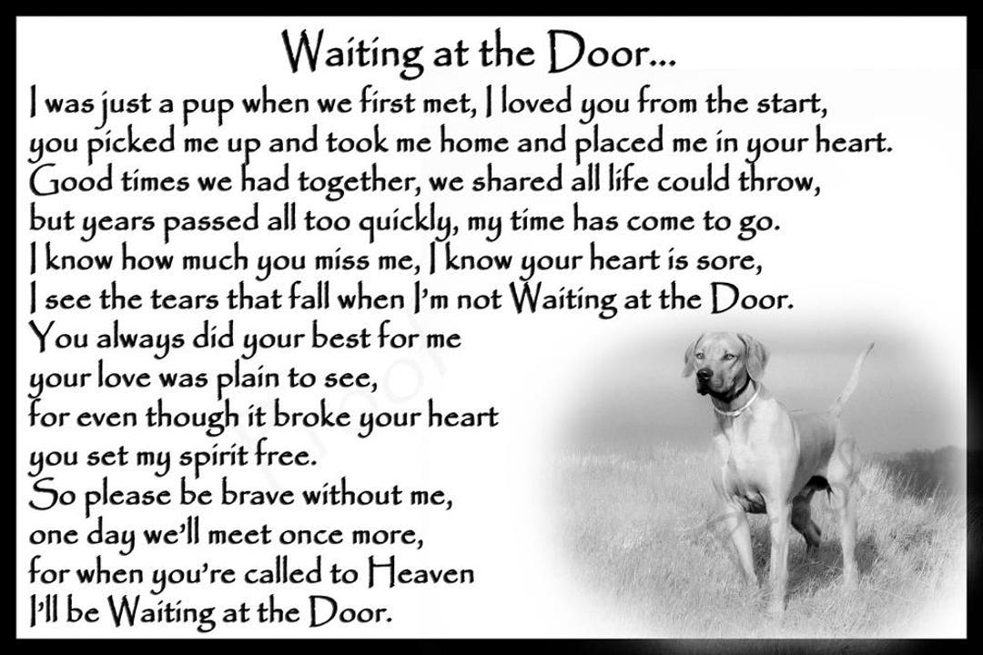 Rhodesian Ridgeback Pet Dog Memorial Magnetic Sympathy Card Rainbow ...