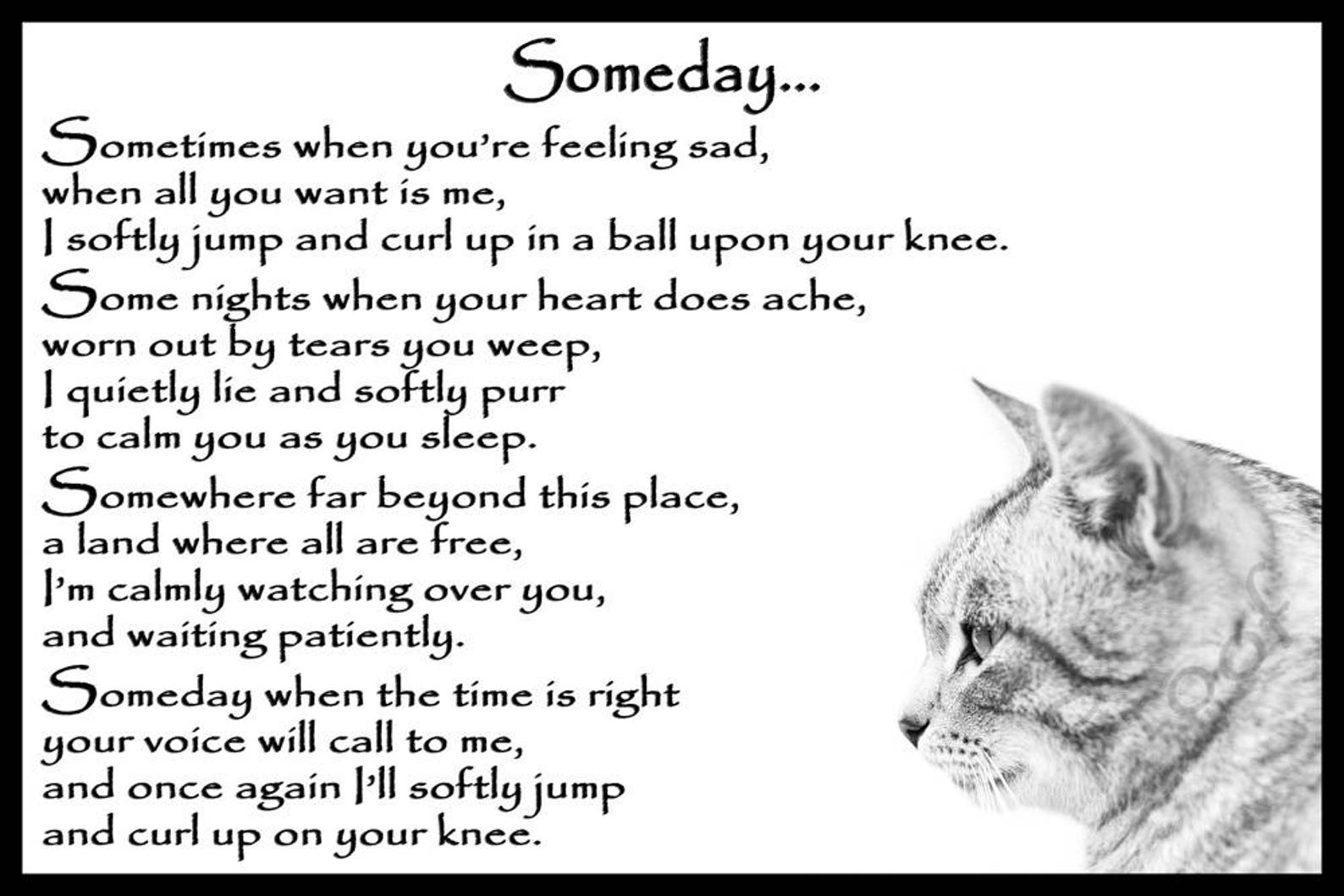 Cat Memorial Fridge Magnet: Pet Loss Bereavement Gift - Etsy