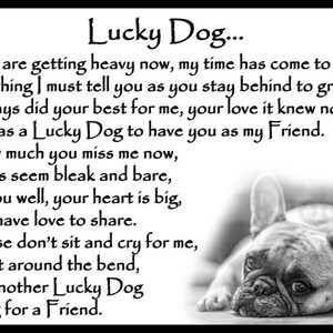 French Bulldog Frenchie Dog Pet Loss Memorial Rainbow Bridge Sympathy ...