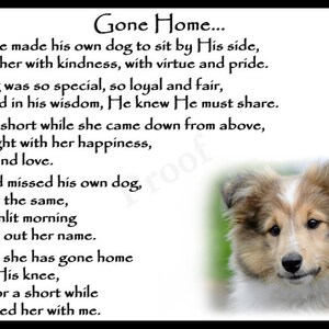 Shetland Sheepdog Sheltie Dog Pet Memorial Rainbow Bridge Gift - Etsy