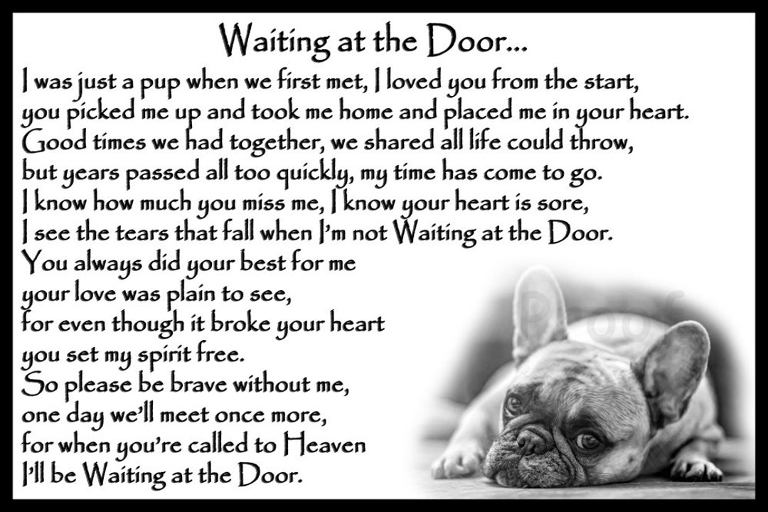 French Bulldog Frenchie Dog Pet Loss Memorial Rainbow Bridge Sympathy ...