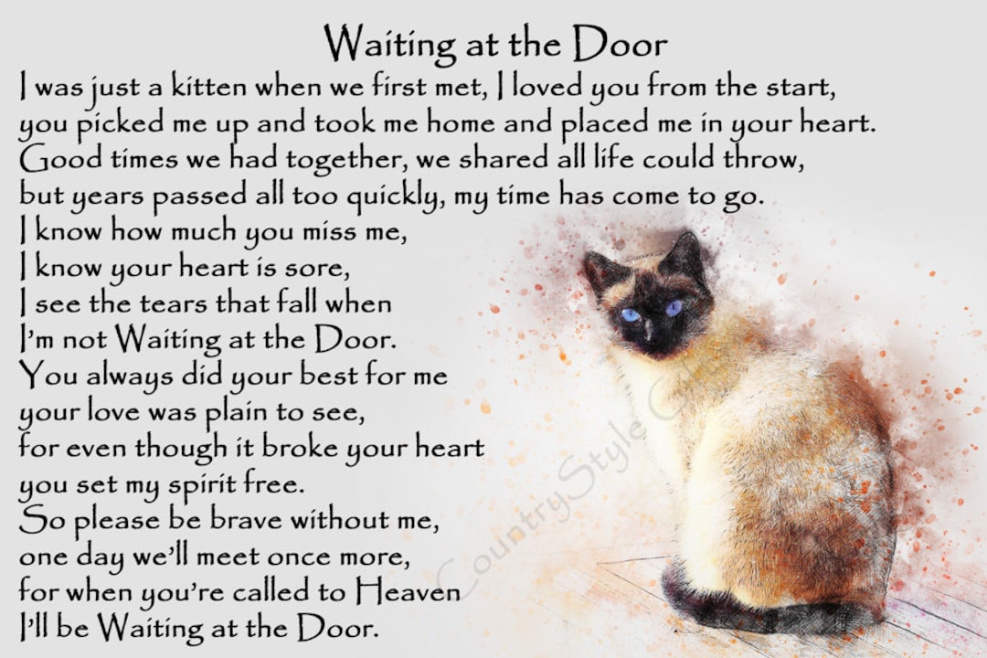 Beautiful Siamese Cat Memorial Pet Loss Bereavement Rainbow Bridge ...
