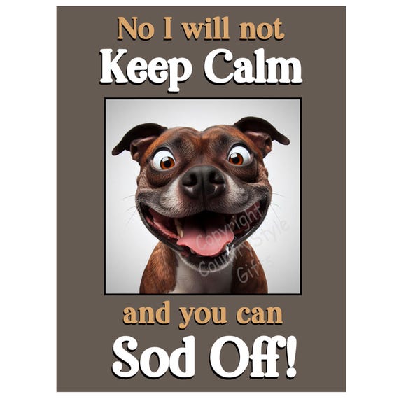 Staffordshire Bull Terrier Memes