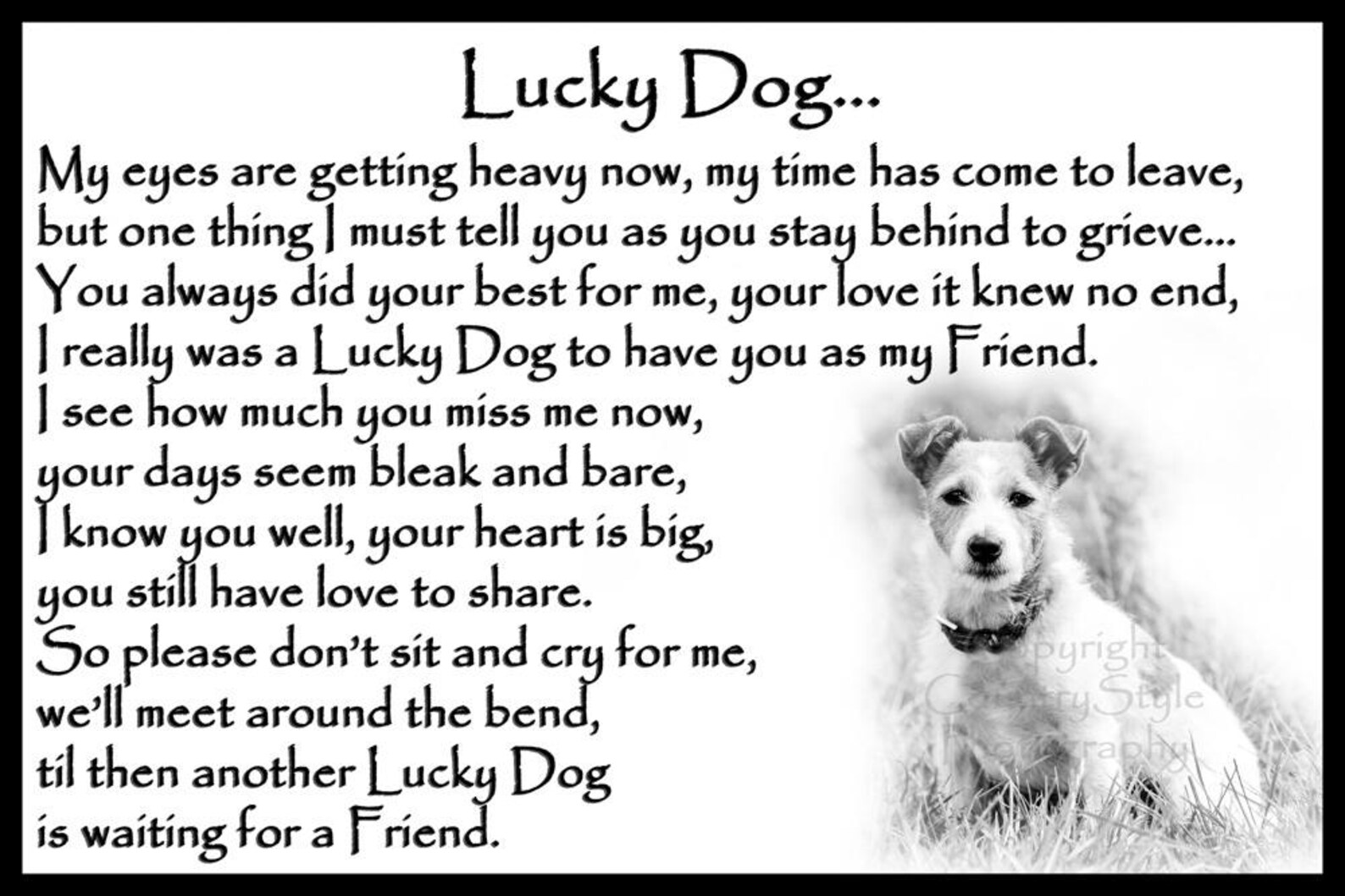 Jack Russell Terrier Memorial Fridge Magnet Pet Loss | Etsy