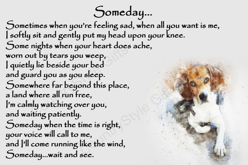 Beagle Pet Dog Memorial Magnetic Sympathy Card Bereavement - Etsy
