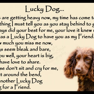 Brown Cocker Sprocker Spaniel Pet Dog Memorial Rainbow Bridge Sympathy ...