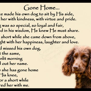 Brown Cocker Sprocker Spaniel Pet Dog Memorial Rainbow Bridge Sympathy ...