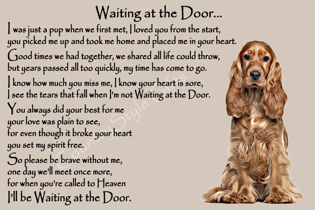 Cocker Spaniel Dog Memorial Rainbow Bridge Fridge Magnet Pet Sympathy ...