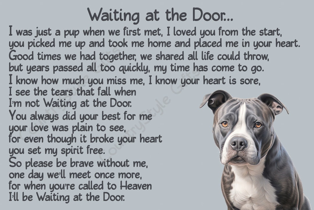 Staffy Staffordshire Bull Terrier Pet Dog Memorial Rainbow Bridge ...