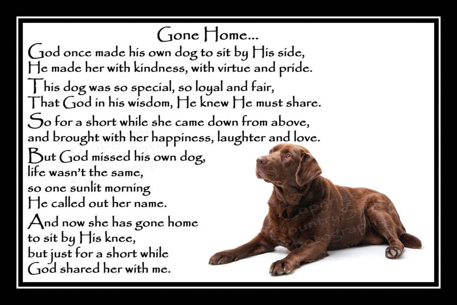 Chocolate Labrador Pet Dog Photo Memorial Gift Mounted Poem | Etsy