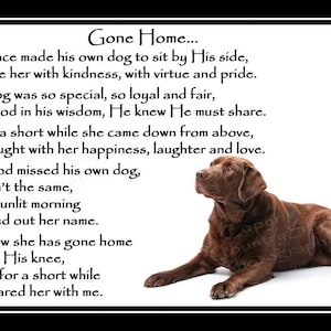 Chocolate Labrador Pet Dog Photo Memorial Gift Mounted Poem 9" X 6 ...