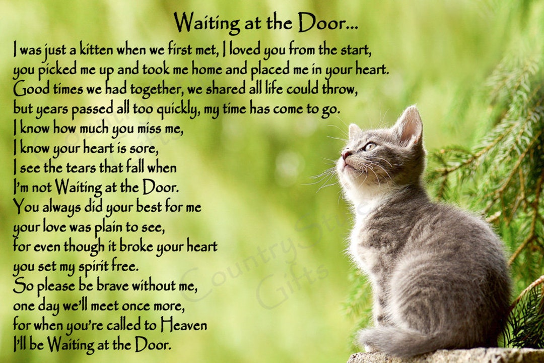 Cat Memorial Pet Loss Bereavement Rainbow Bridge Fridge Magnet Plaque ...