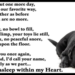 Black Labrador Dog Pet Loss Bereavement Fridge Magnet Memorial - Etsy