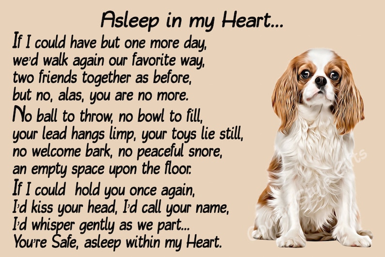 Blenheim Cavalier King Charles Spaniel Dog Memorial Rainbow Bridge ...