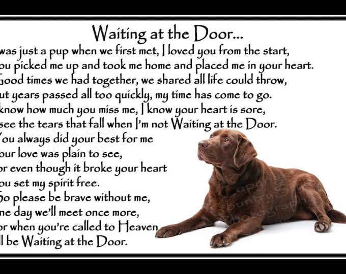 Chocolate Labrador Pet Dog Photo Memorial Gift Mounted Poem - Etsy