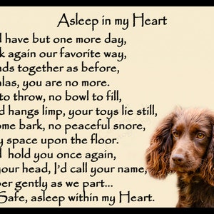 Brown Cocker Sprocker Spaniel Pet Dog Memorial Rainbow Bridge Sympathy ...