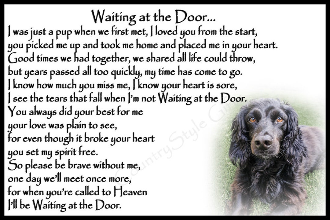 Black Cocker Spaniel Pet Dog Memorial Bereavement Sympathy Magnetic ...