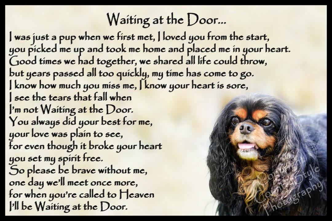 Cavalier King Charles Spaniel Dog Pet Memorial Rainbow Bridge Gift - Etsy