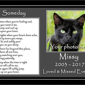Personalised Pet Cat Memorial Bereavement Sympathy Gift Mounted Print ...