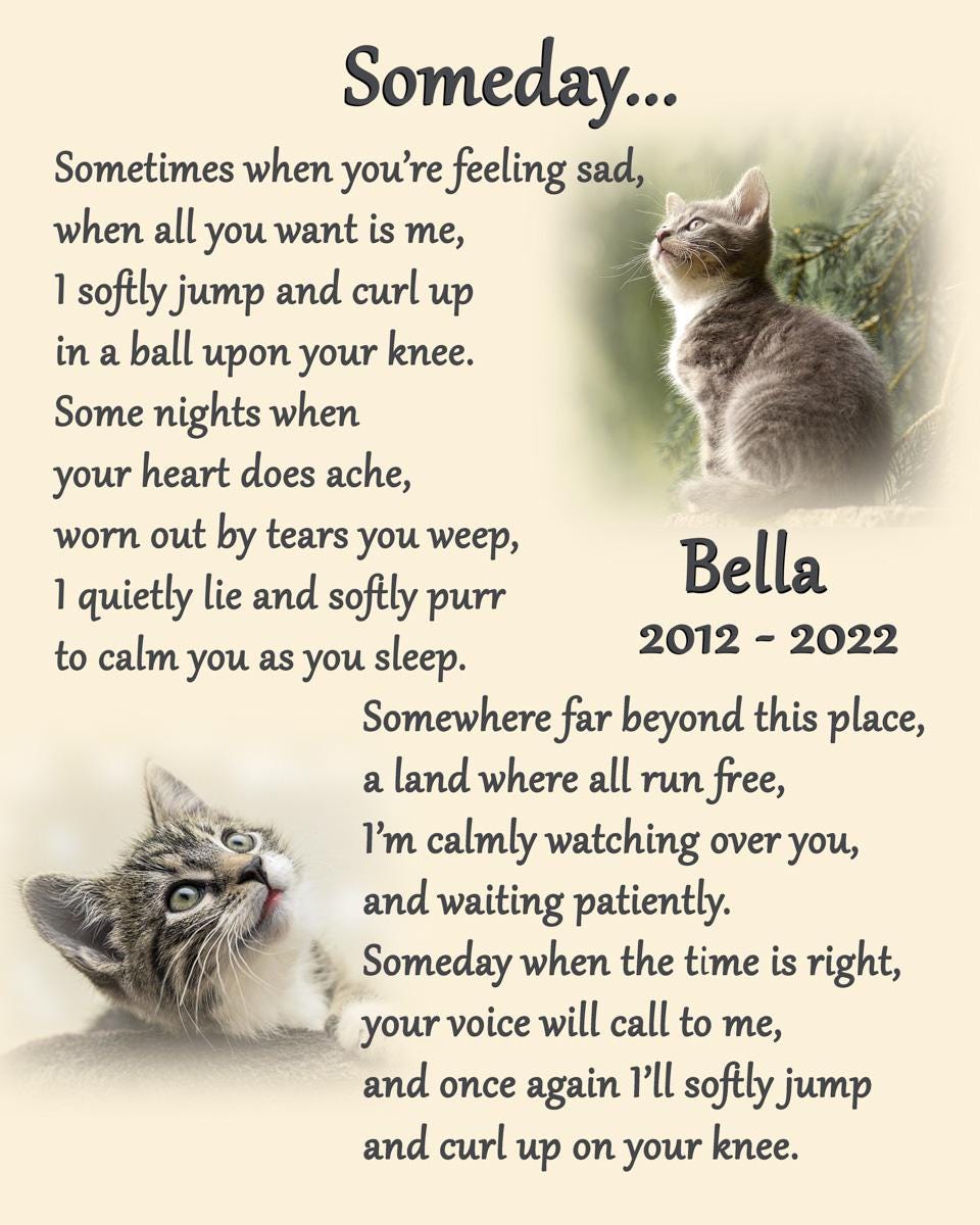 DIGITAL DOWNLOAD ONLY - Personalised Pet Cat Memorial File Download ...