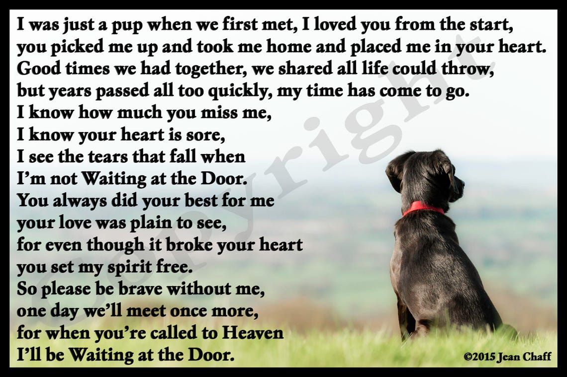 Black Labrador Crossbreed Memorial Magnetic Sympathy Card - Etsy