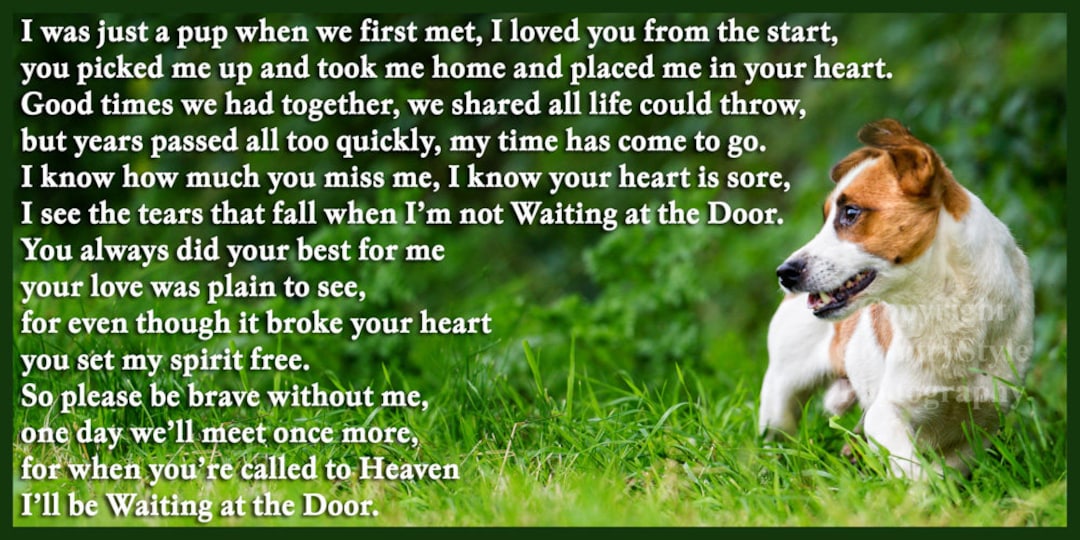 Jack Russell Terrier Memorial Fridge Magnet Pet Loss Bereavement Gift ...