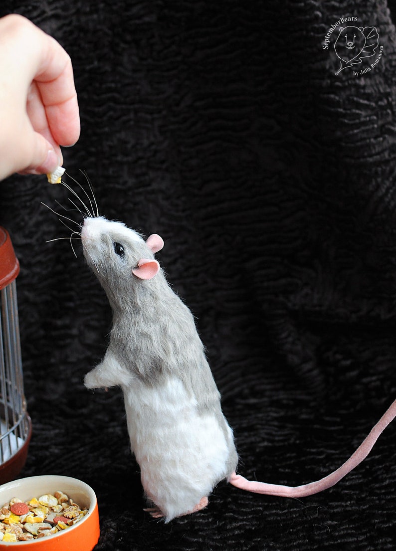 SOLD Realistic rat pet portrait life size rat pet portrait | Etsy
