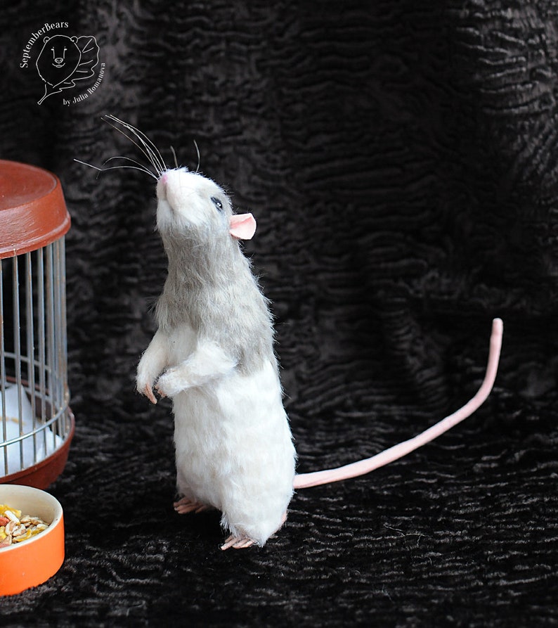 SOLD Realistic rat pet portrait life size rat pet portrait | Etsy