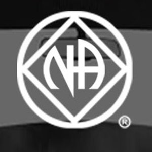 NA DOUBLE NA Symbol Vinyl Decal Size Options Vehicle Sticker, 12 Step ...