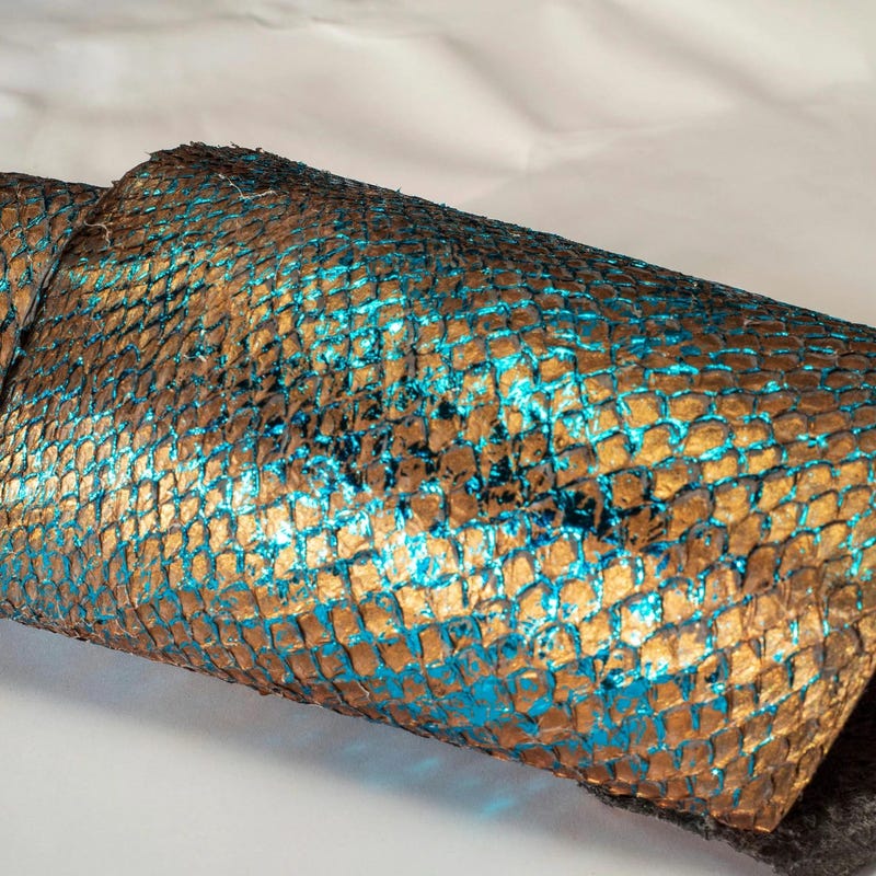 Fish Skin Leather - Etsy