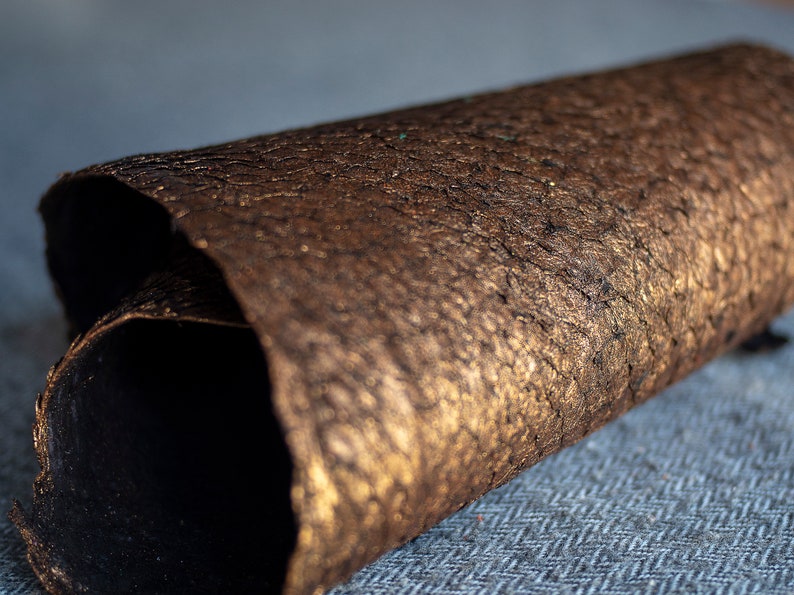 Jewelry Making Salmon Fish Leather Leathercraft Tapestry for - Etsy