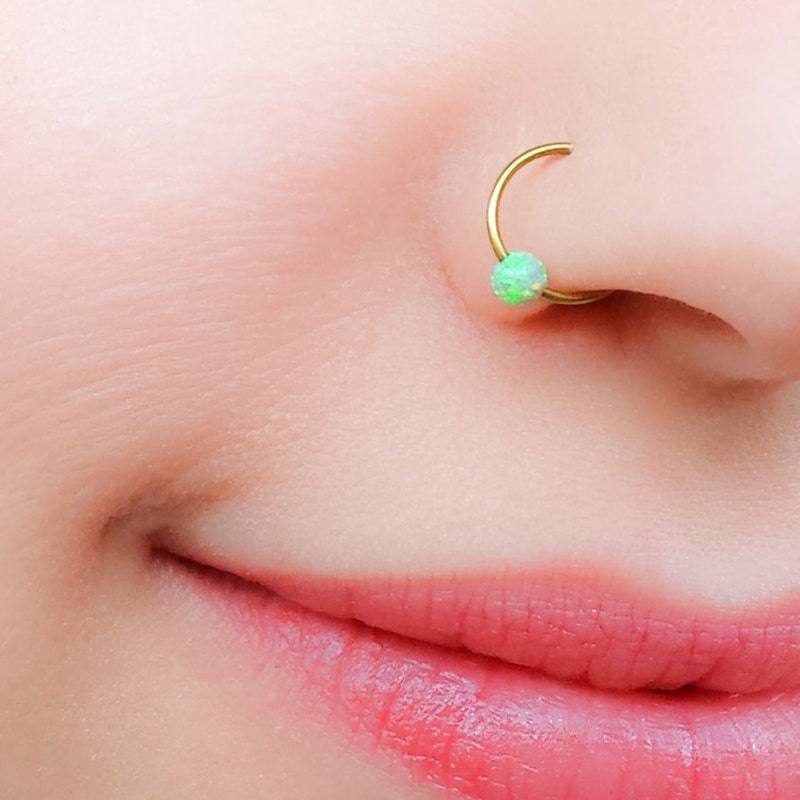 Fake Nose Hoop - Etsy