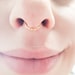 Twisted Metal Clicker Septum Hoop Ring, Classic Rope Septum Hoop ...
