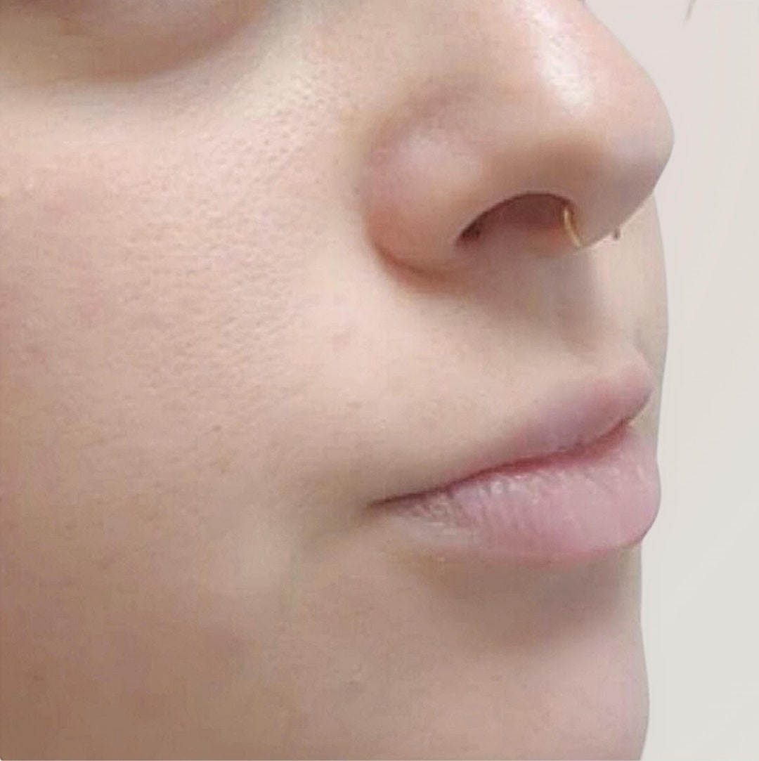 Round Septum Retainer-gold Septum Retainer-septum Horseshoe-gold Septum ...