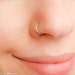 FAUX NOSE Ring - Fake Nose Piercing - Gold Nose Hoop - Double Nose Ring ...