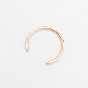 Round Septum Retainer-gold Septum Retainer-septum Horseshoe-gold Septum ...